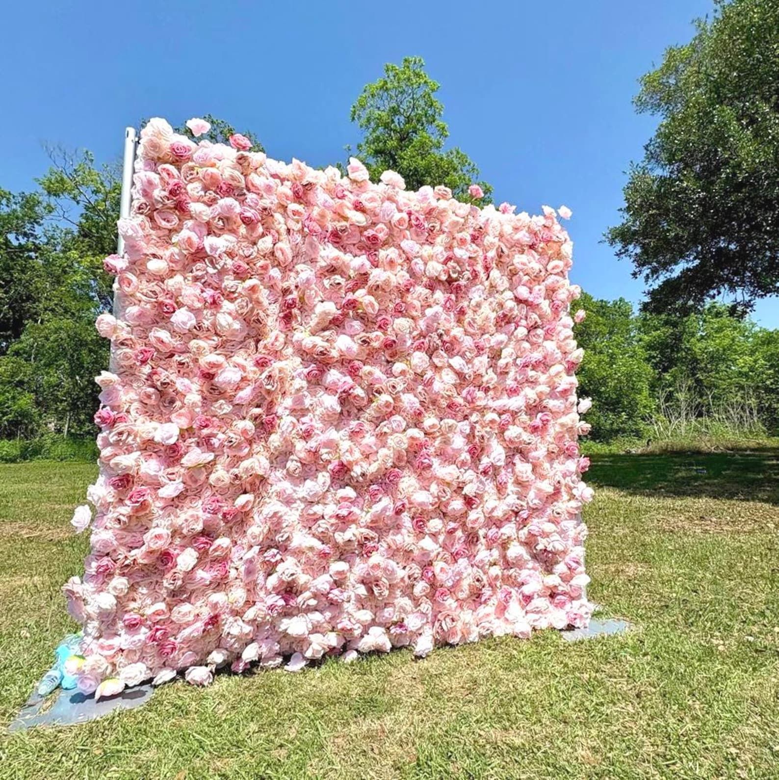 Backdrop Rentals Sacramento | Rent 4 Party